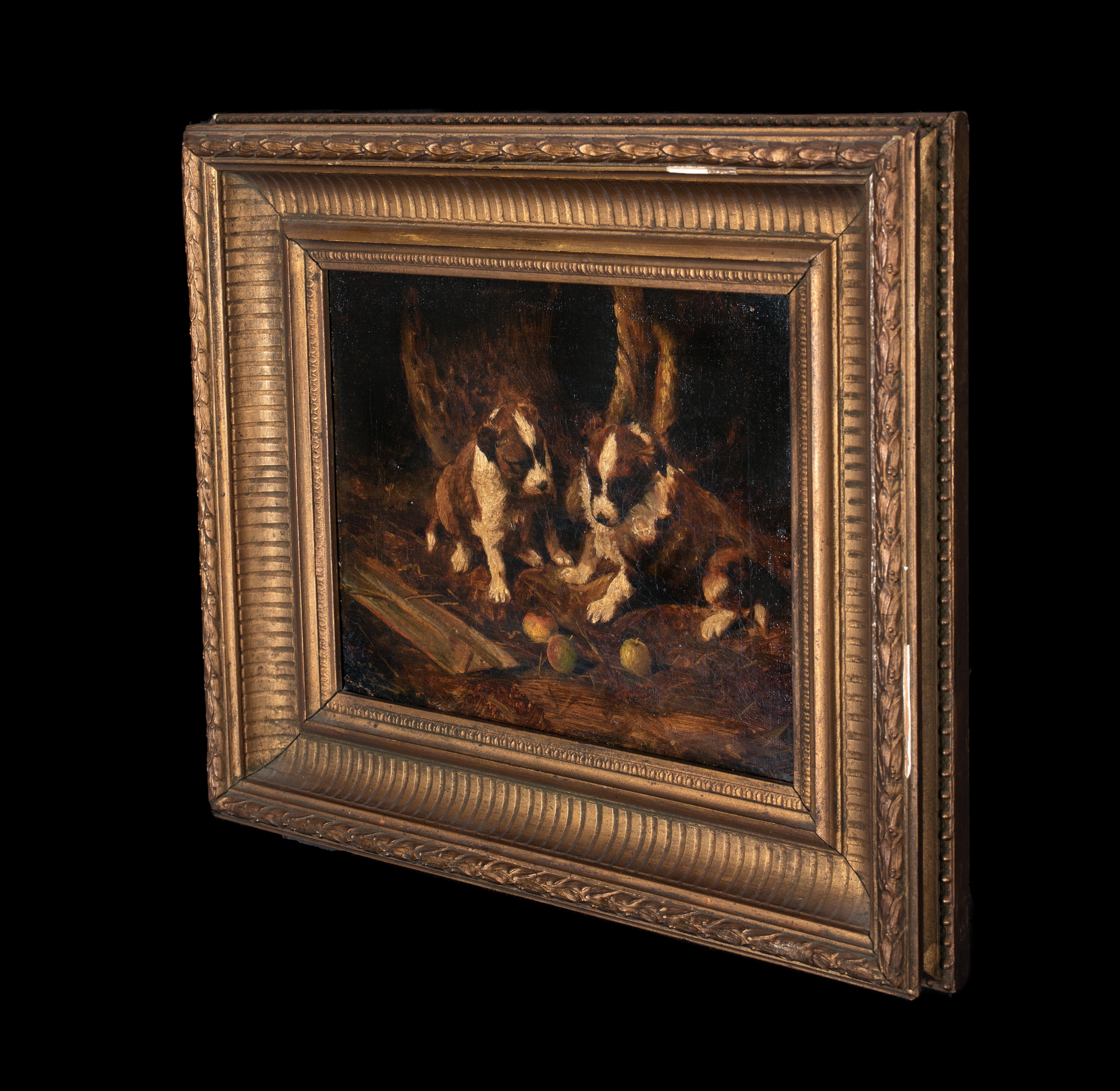 Unknown - Curiosity, 19th Century English School circa 1880 St Bernard ...