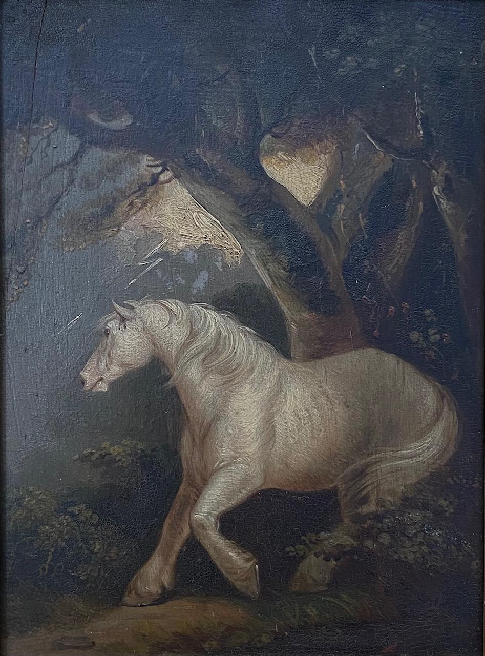 Unknown - Singingwood (J. H. Whitney prize racehorse) at 1stDibs