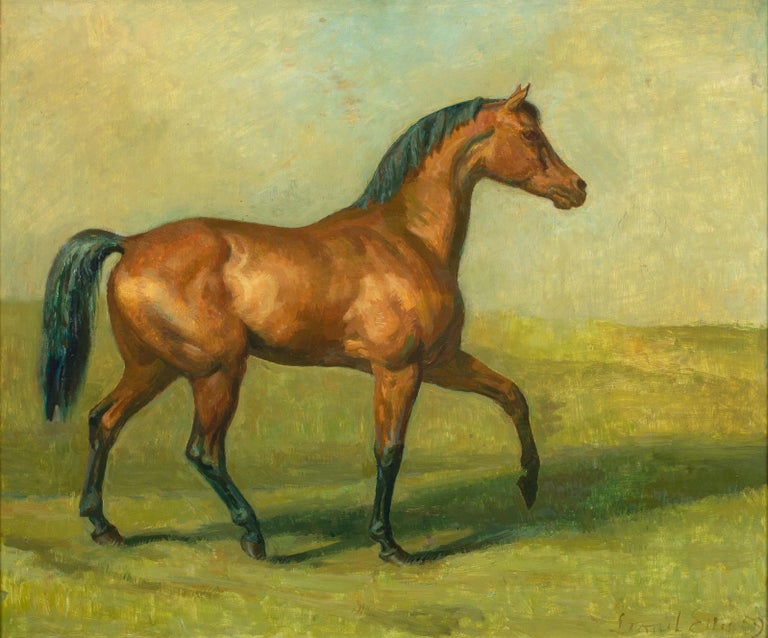 Unknown - Portrait Of A Bay Hunter, early 20th Century For Sale at 1stDibs