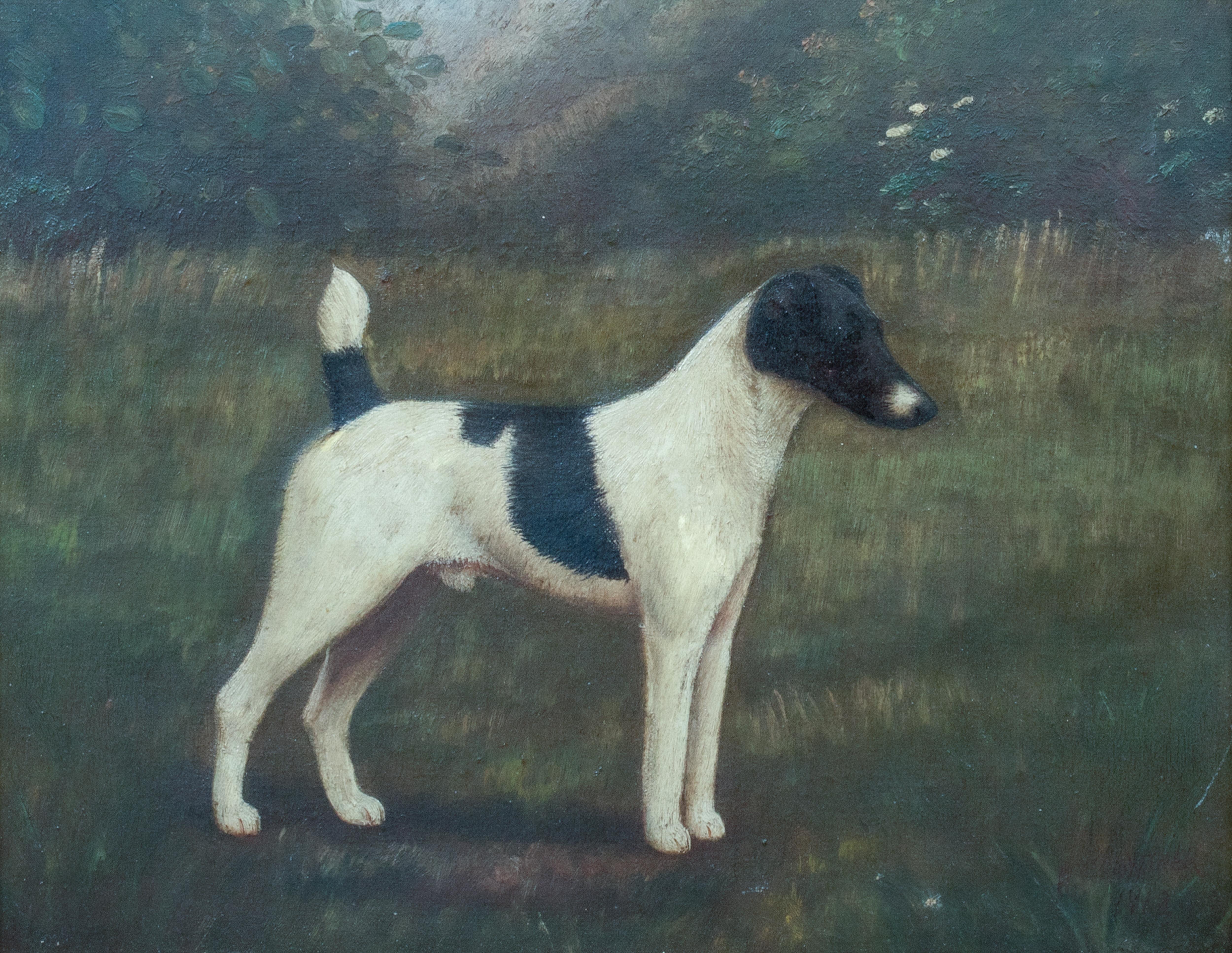 Unknown - Portrait Of A Black and White Jack Russell Terrier, 19th ...
