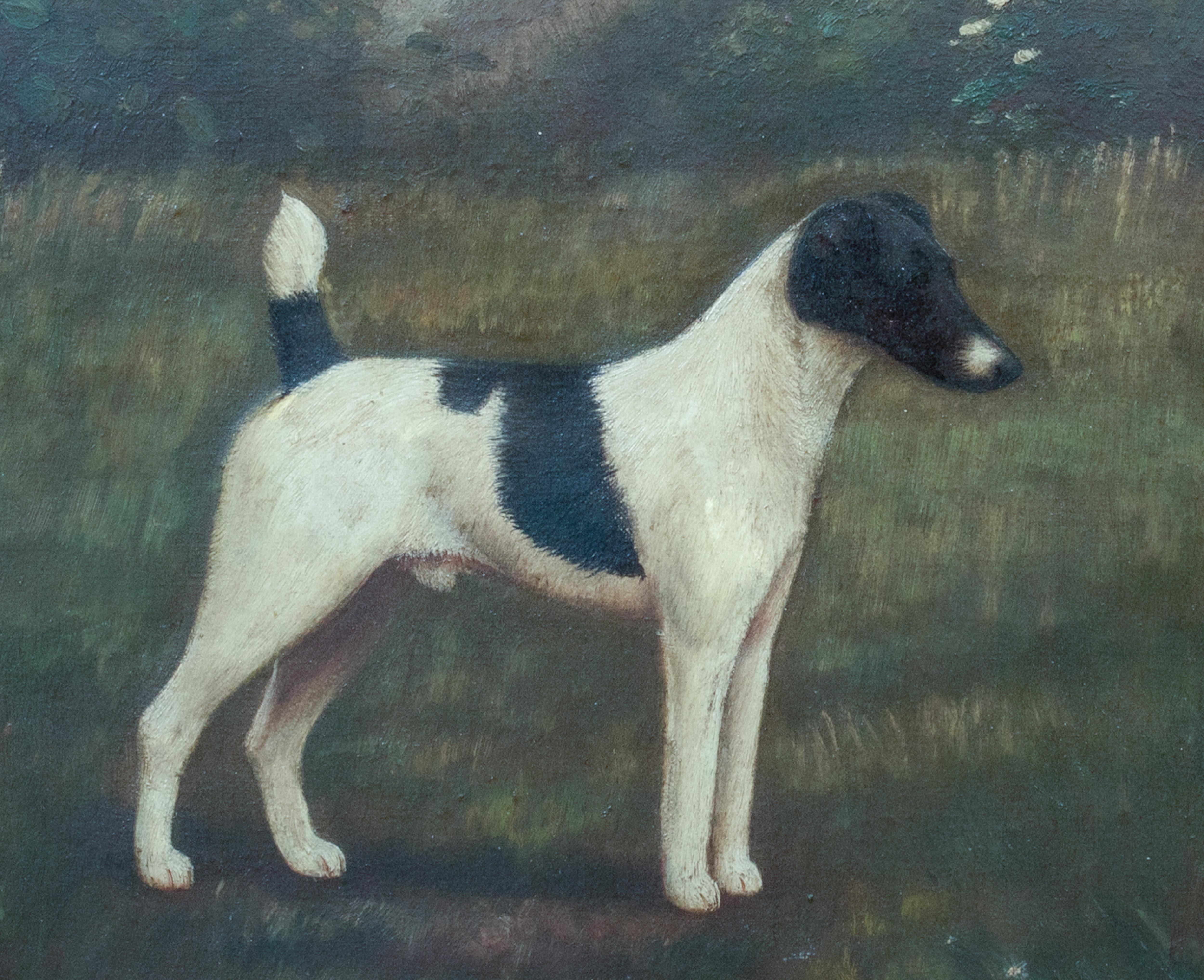 Unknown - Portrait Of A Black and White Jack Russell Terrier, 19th ...