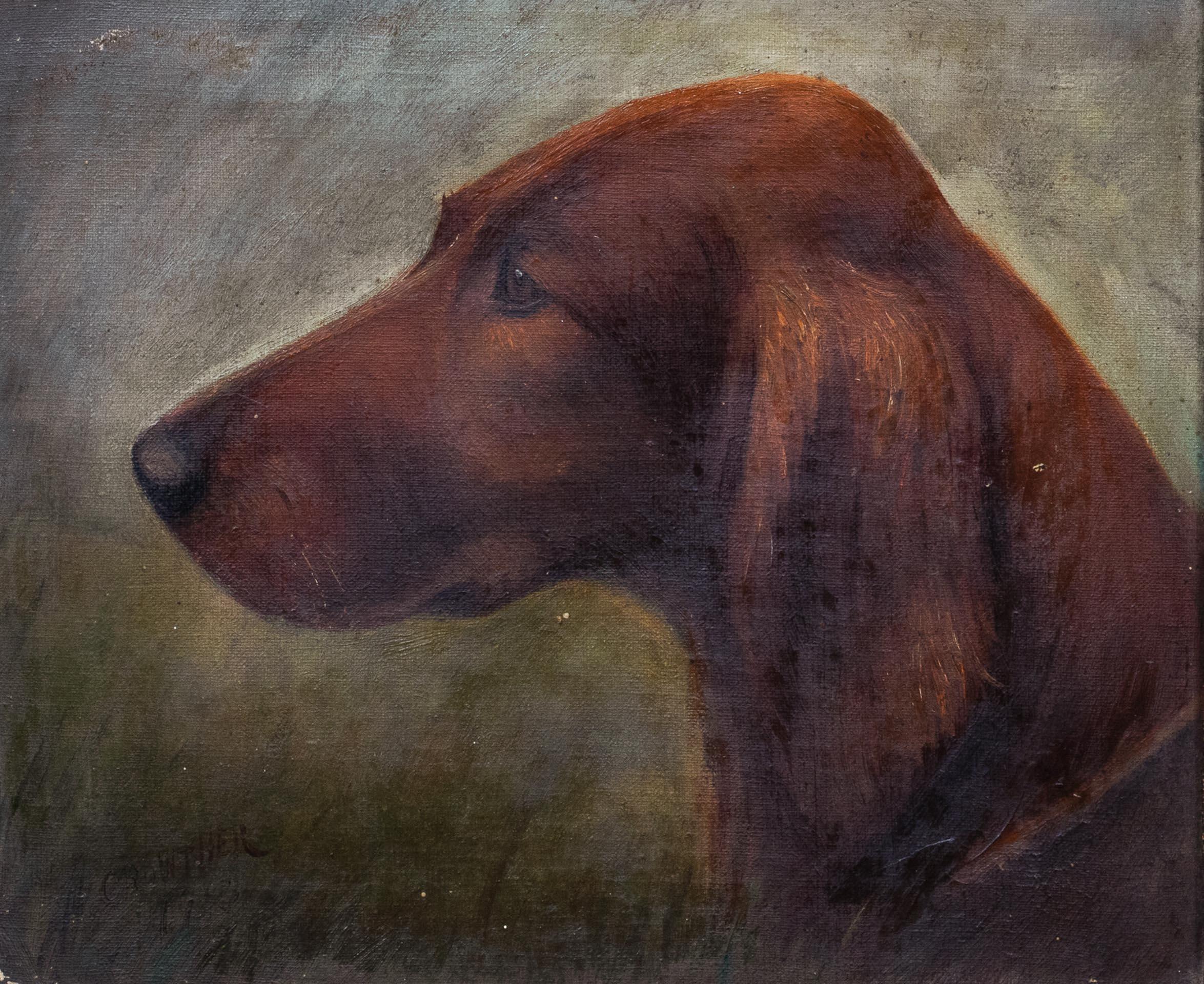 Unknown - Portrait Of An Irish Setter, 19th Century by Henry Crowther ...