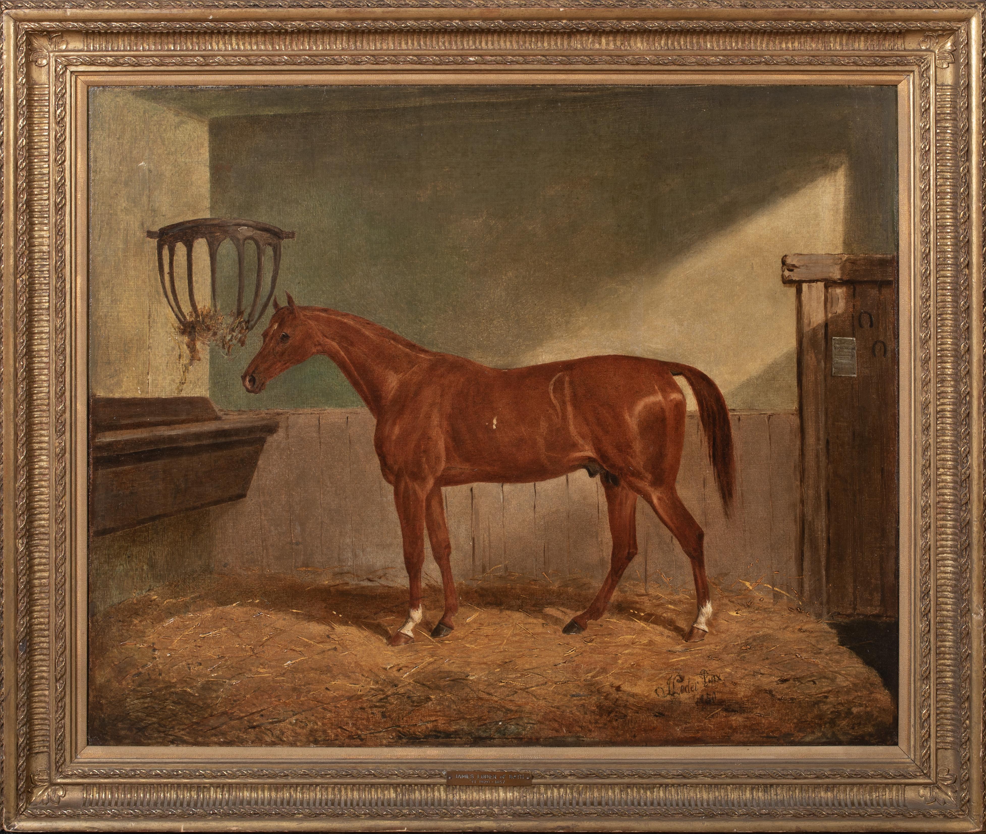 Horse Animal Paintings - 725 For Sale at 1stDibs
