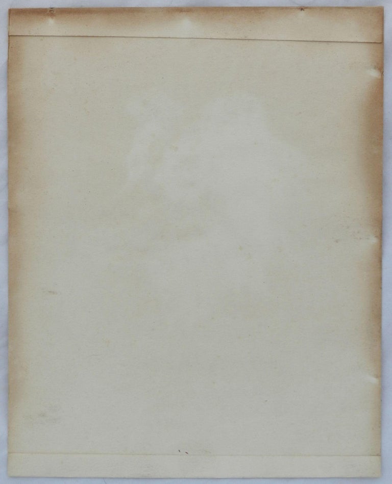 Unknown - Portrait of Collie Dogs Head by Frederick Roe 1864-1947 Royal ...