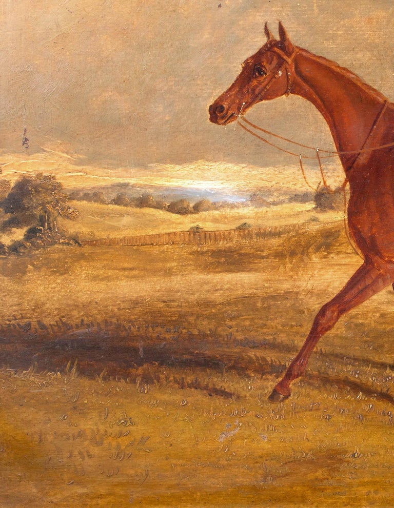 Unknown - Portrait Of Race Horse "Mary Machree" With Jockey Up Top ...