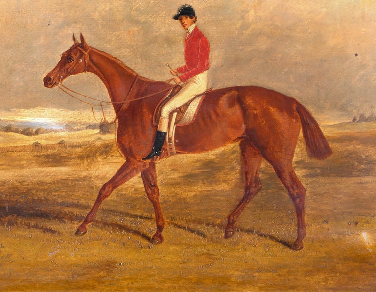 Unknown - Portrait Of Race Horse "Mary Machree" With Jockey Up Top ...