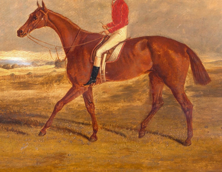 Unknown - Portrait Of Race Horse "Mary Machree" With Jockey Up Top ...