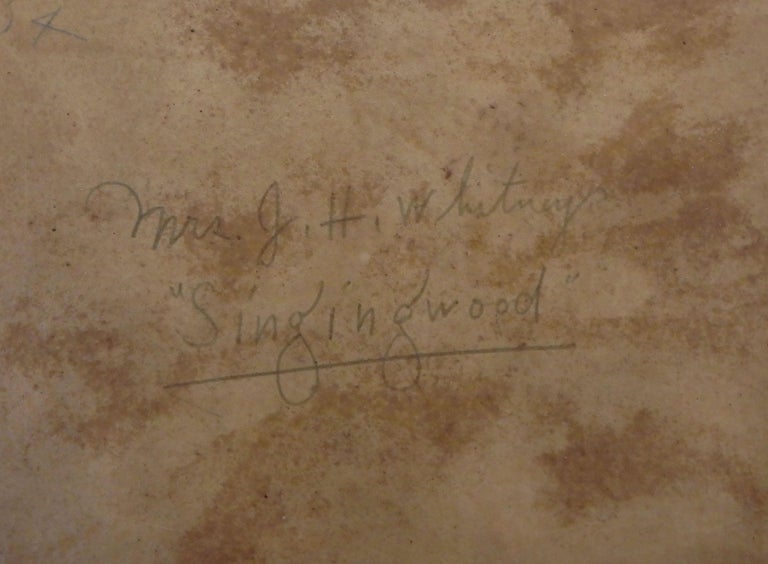 Unknown - Singingwood (J. H. Whitney prize racehorse) at 1stDibs