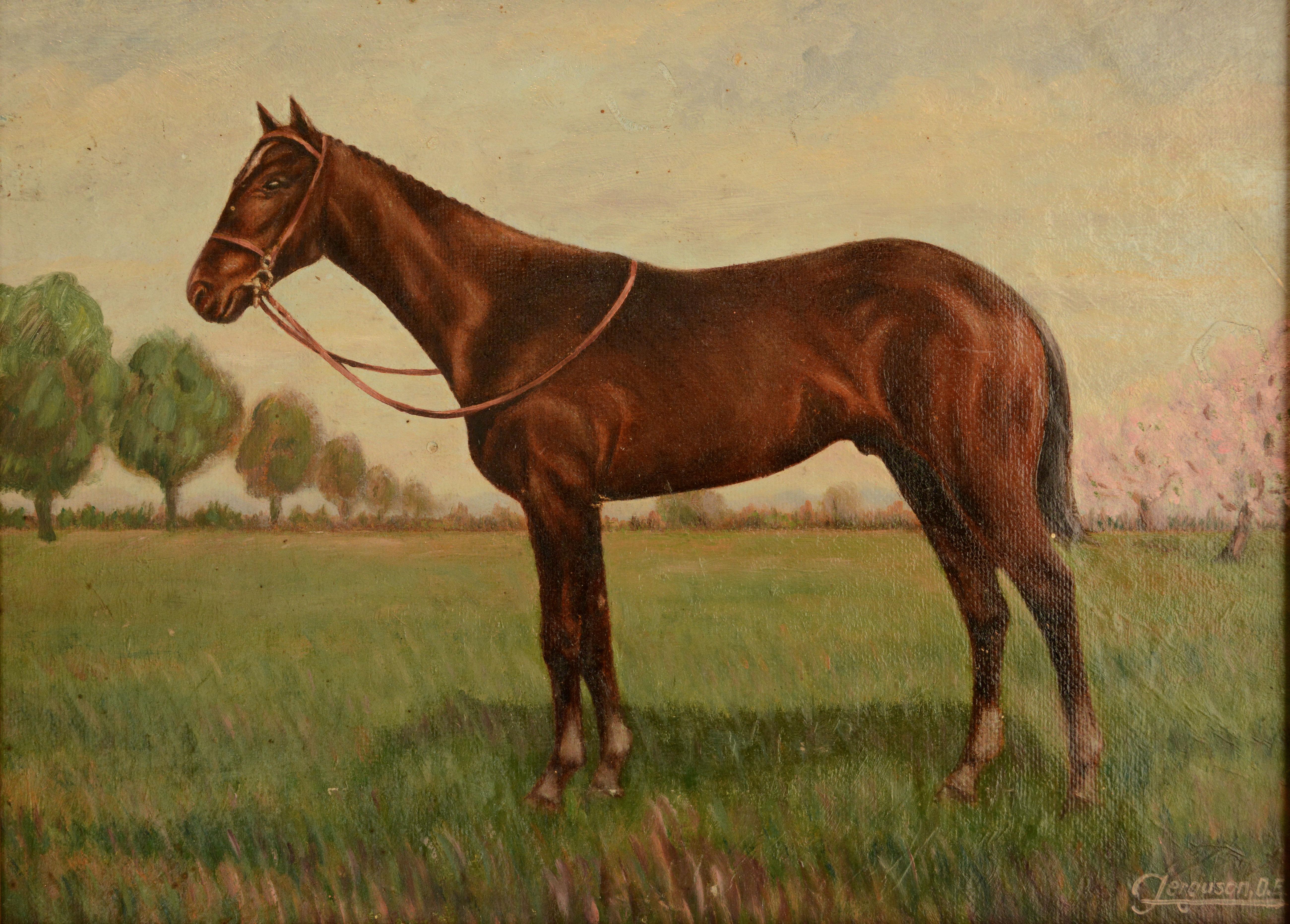 Unknown - Singingwood (J. H. Whitney prize racehorse) at 1stDibs