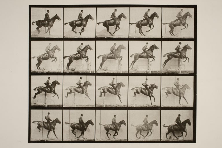 Unknown - Jumping A Hurdle (1886) - Silver Gelatin Fibre Print For Sale ...