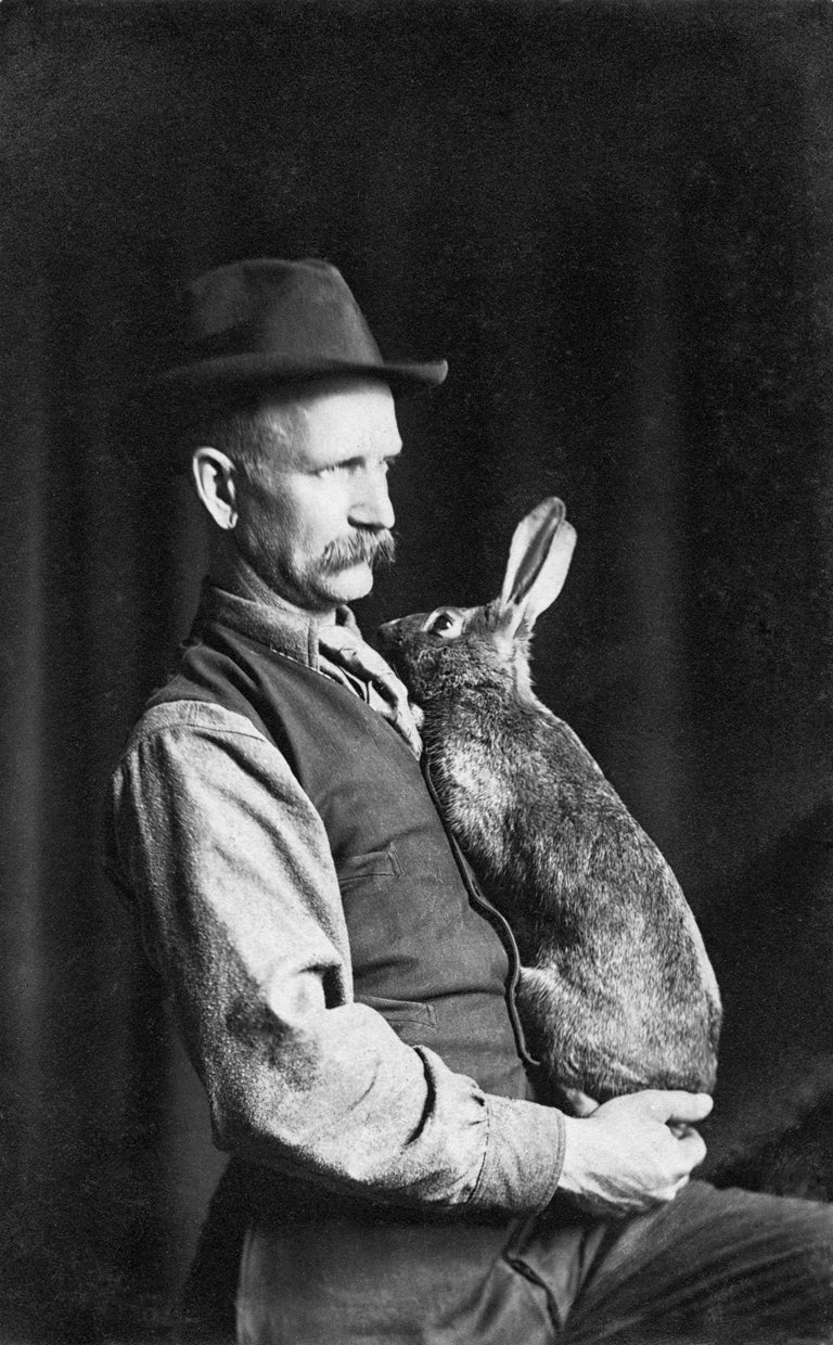 Unknown - Man with Hare For Sale at 1stDibs