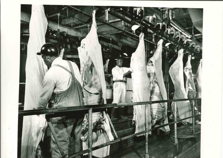 Unknown - Packing Industry - American Vintage Photograph - Mid 20th ...