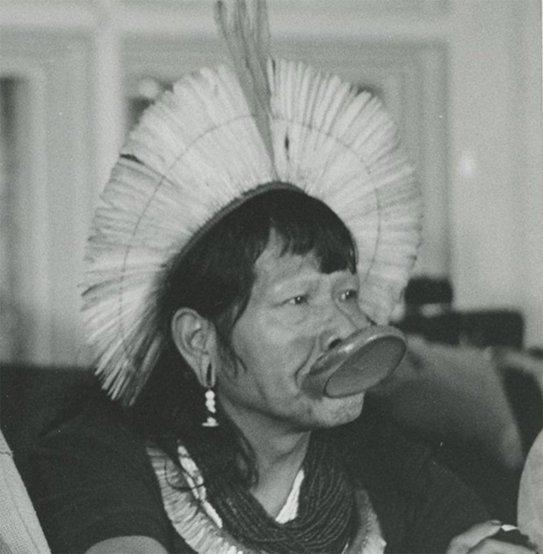 Unknown - Sting with Brazil's Amazon Chief Raoni Metuktire For Sale at ...