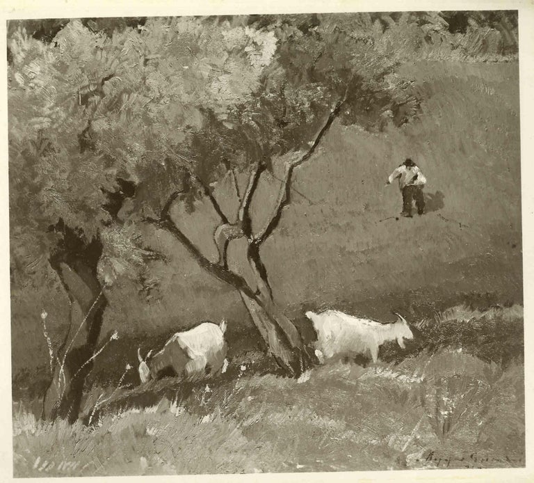 Unknown - Vintage Photograph of by Beppe Guzzi - Mid 20th Century For ...