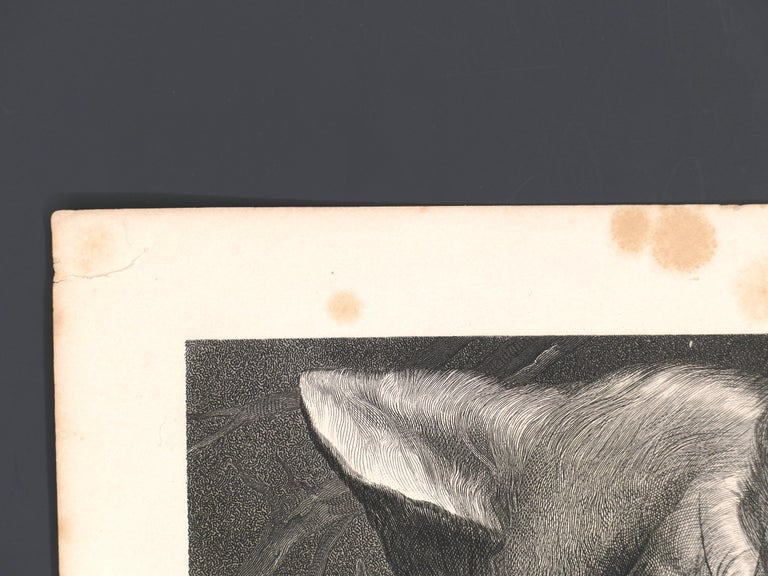 Unknown - A Fox with its Prey - Original Lithograph - Late 19th Century ...