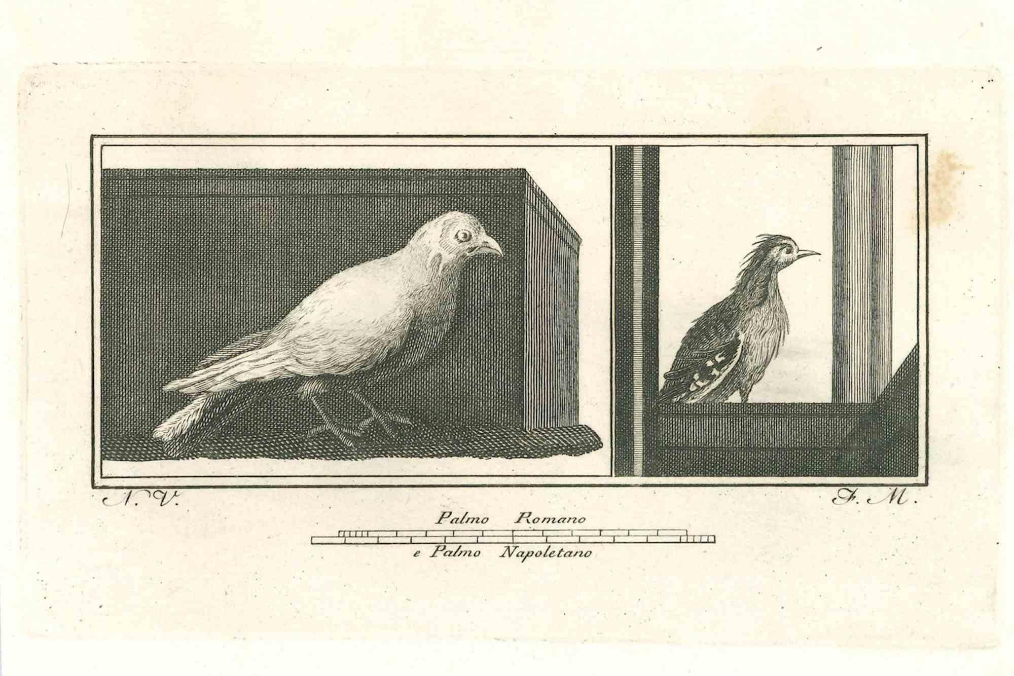 Unknown - Antiquities of Herculaneum Exposed- Original Etching - 18th ...