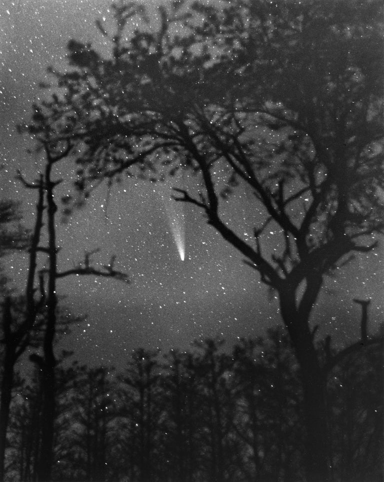 Unknown - Comet For Sale at 1stDibs