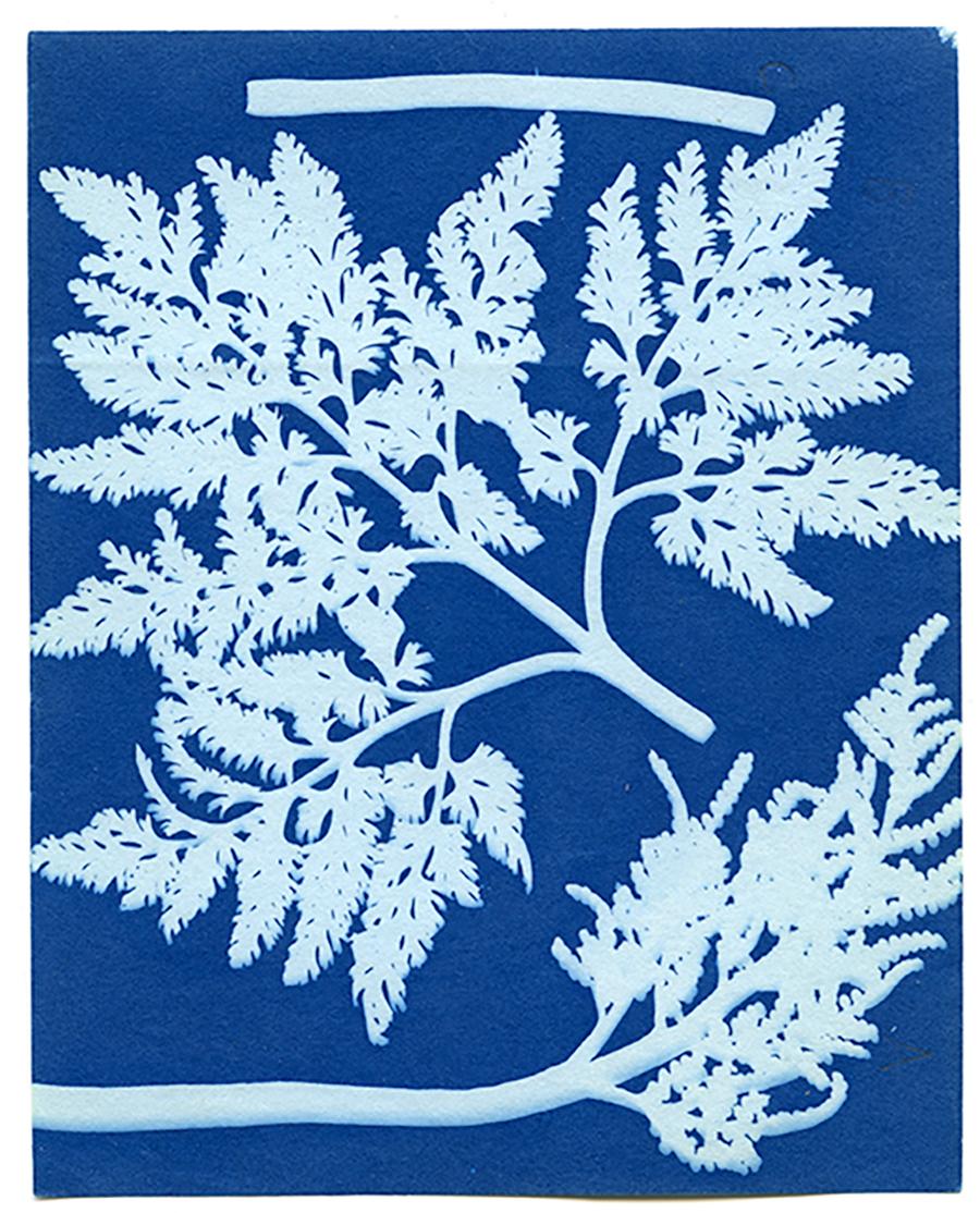 Jeff Koons - Pink Bow (Celebration Series) by Jeff Koons edition of 50 ...