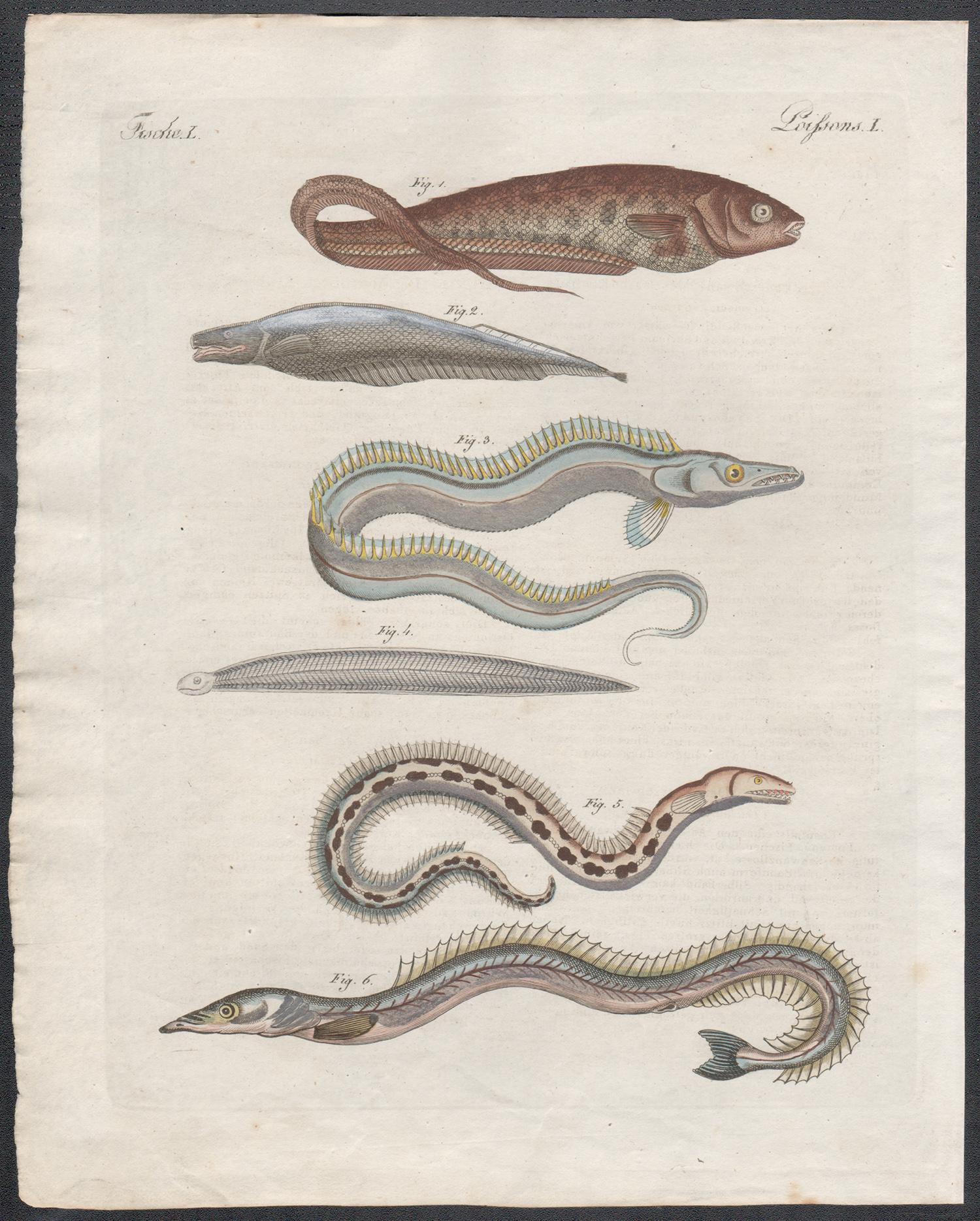 Unknown - Two examples of the capital letter I - Typeface - Engraving ...