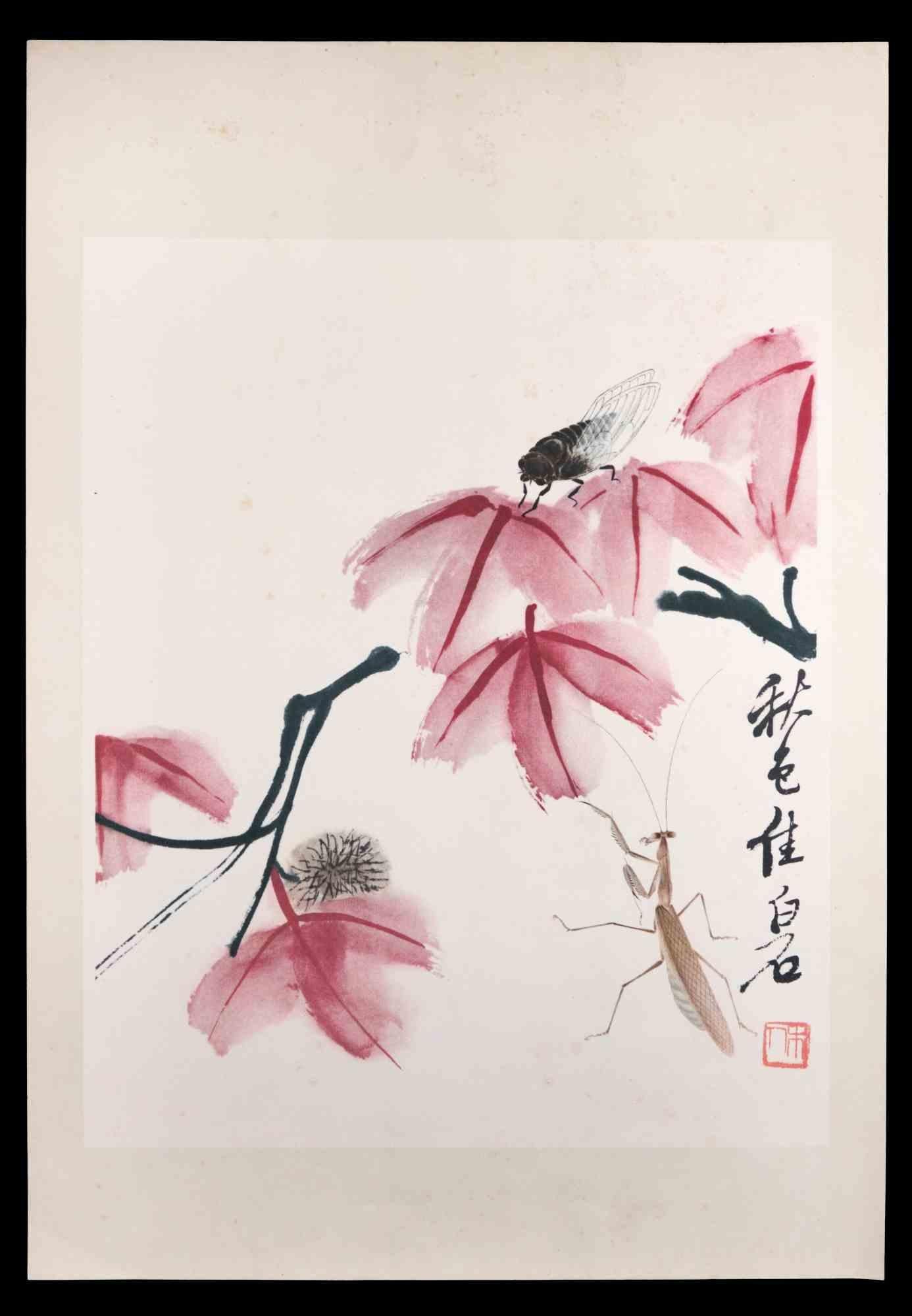 Unknown - Floral Plants - Vintage Phototype Print on Paper -Mid-20th ...