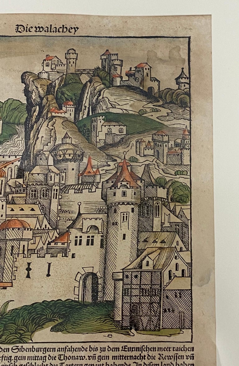 Unknown - Framed 18th Century Hand Colored German Book Page W ...