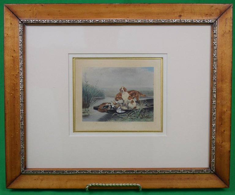 Unknown - "French c1895 Colour Plate Depicting Two Hunting Dogs w ...