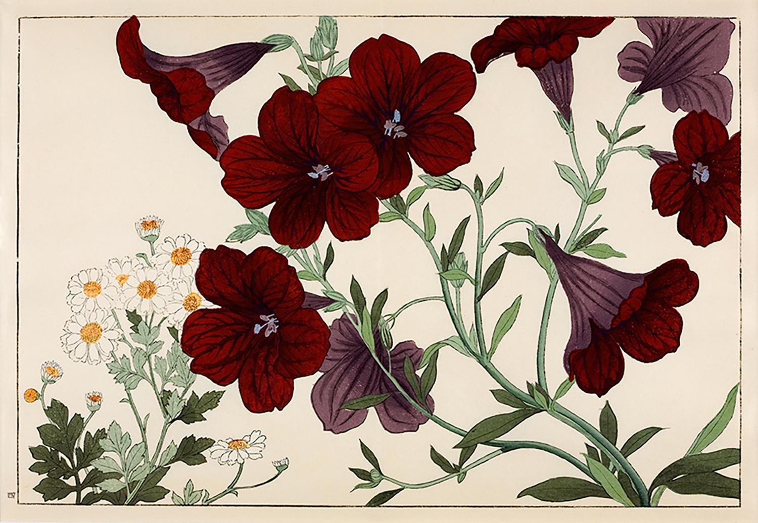 Unknown - Chrysanthemum Woodblock Print - 7 at 1stDibs