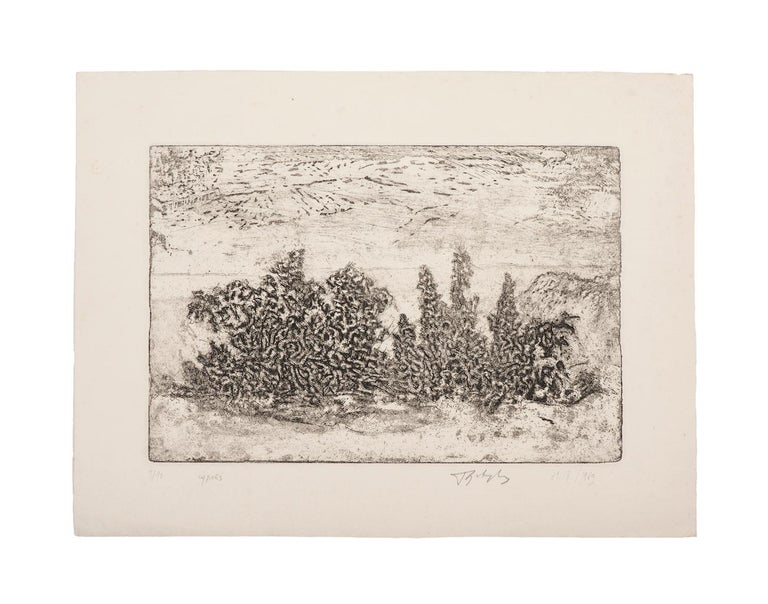 Unknown - Landscape - Original Etching on Paper - 1969 For Sale at 1stDibs