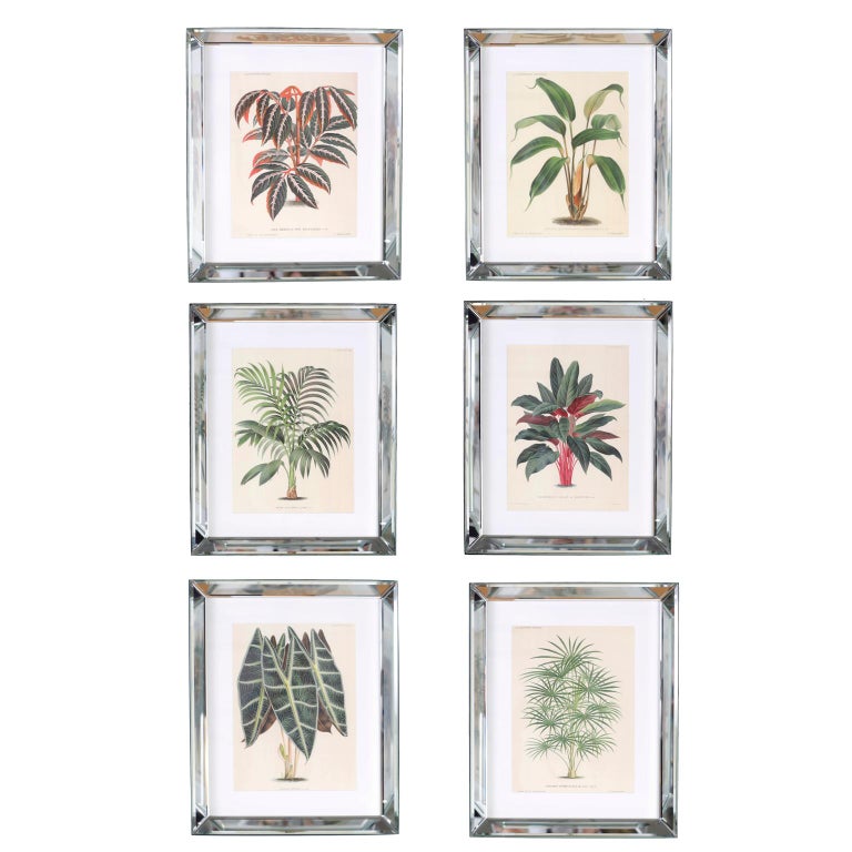 Unknown - Set of Six Botanical Prints in Mirrored Frames by Trowbridge ...