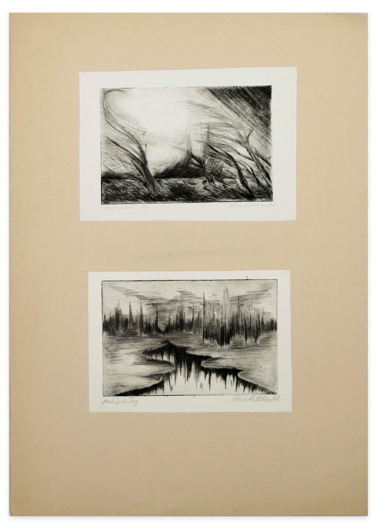 Unknown - Two Lake Landscapes - Original Etching and Drypoint - 1970s ...