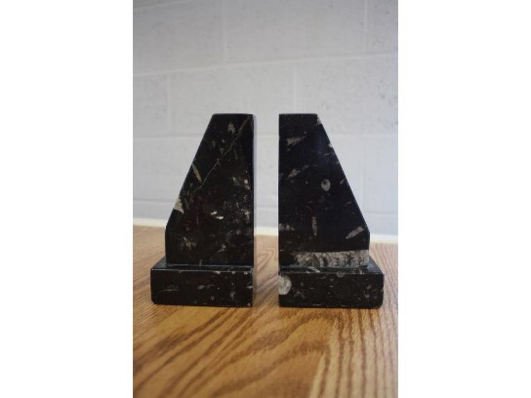Unknown - Authentic Fossil Bookends For Sale at 1stDibs