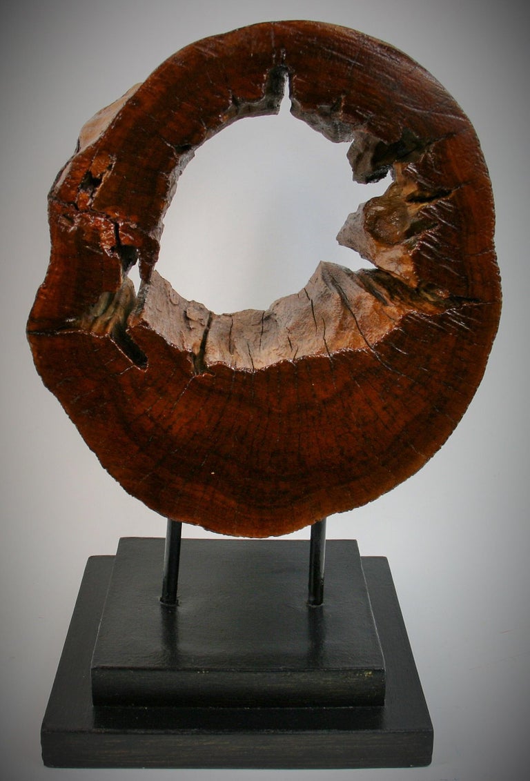 Unknown - Cypress Tree Wood Sculpture by Brunelli For Sale at 1stDibs