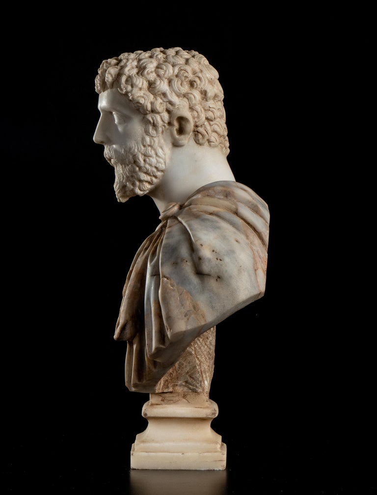 Unknown - Marble Bust Portrait Roman Emperor Septimius Severus Grand ...