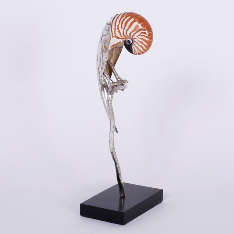 Unknown - Mid-Century Nautilus Shell Parrot Sculpture For Sale at 1stDibs