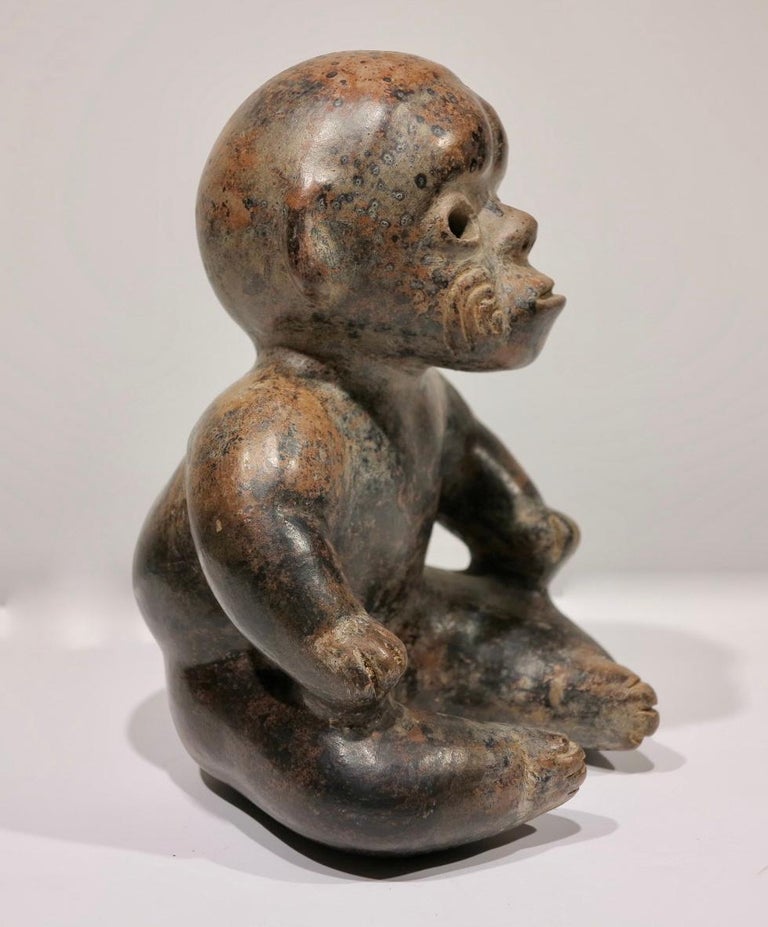 Unknown - Pre-Columbian, Western Mexico, Colima Seated Dwarf figural ...