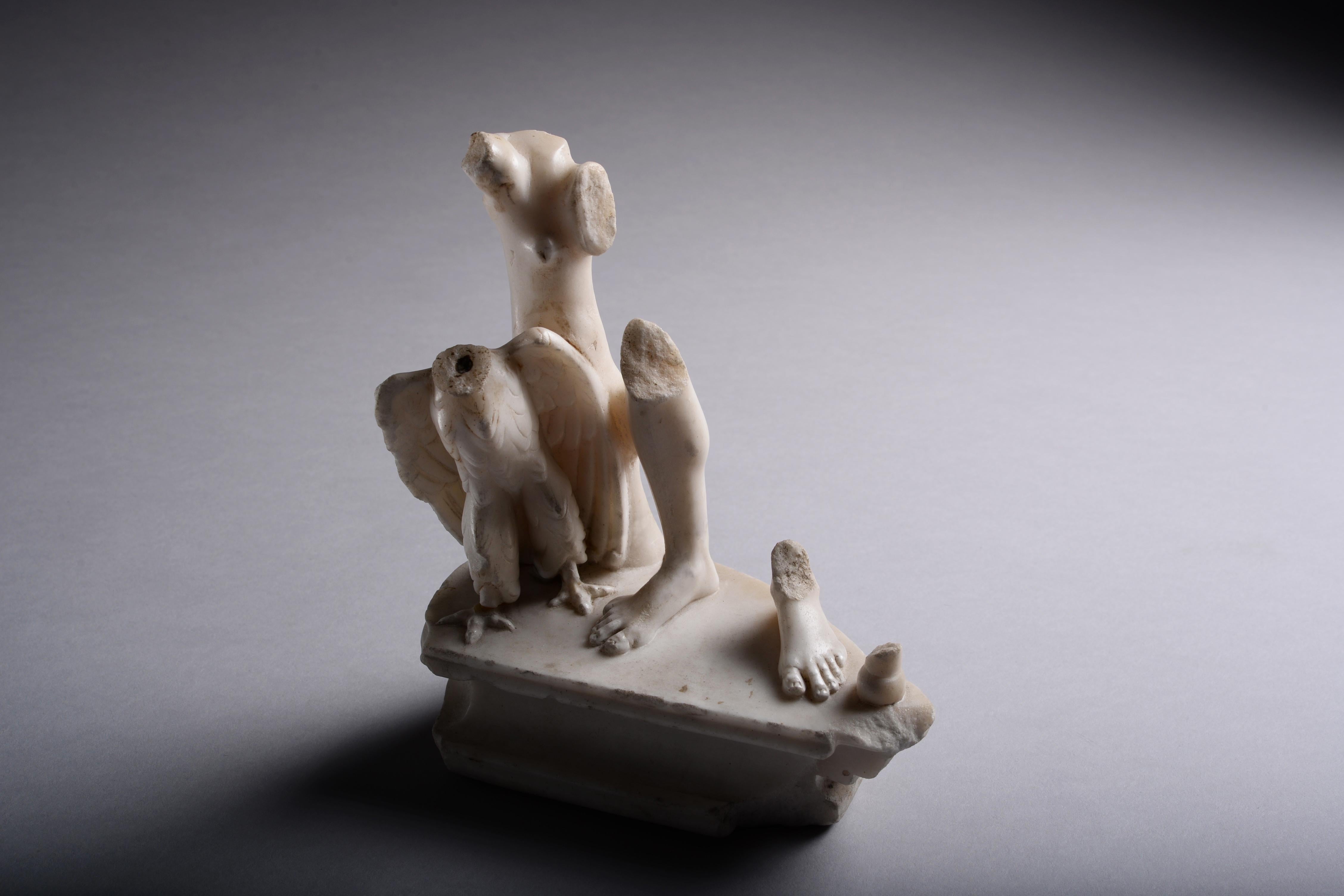 Unknown - Large Ammonite Fossil at 1stDibs