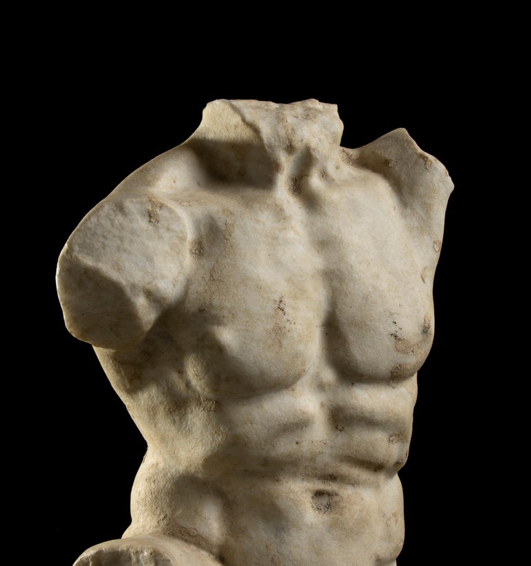 Unknown - Sculpture italienne de torse en marbre statuaire blanc de ...