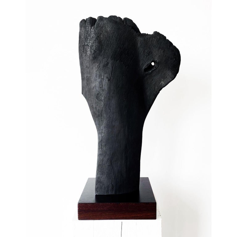 Untitled 37 by Neshka For Sale at 1stDibs