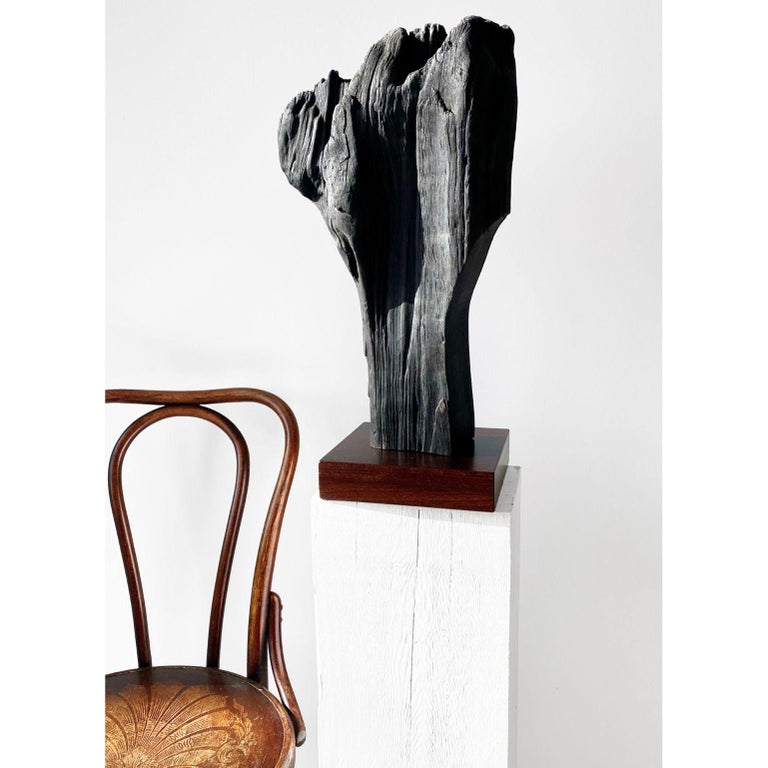 Untitled 37 by Neshka For Sale at 1stDibs