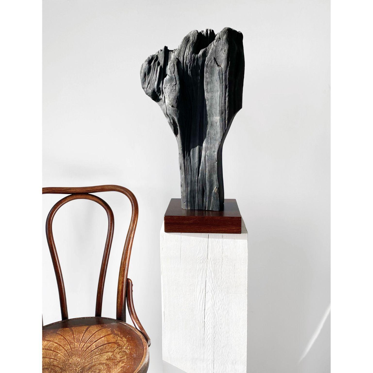 Untitled 37 by Neshka For Sale at 1stDibs