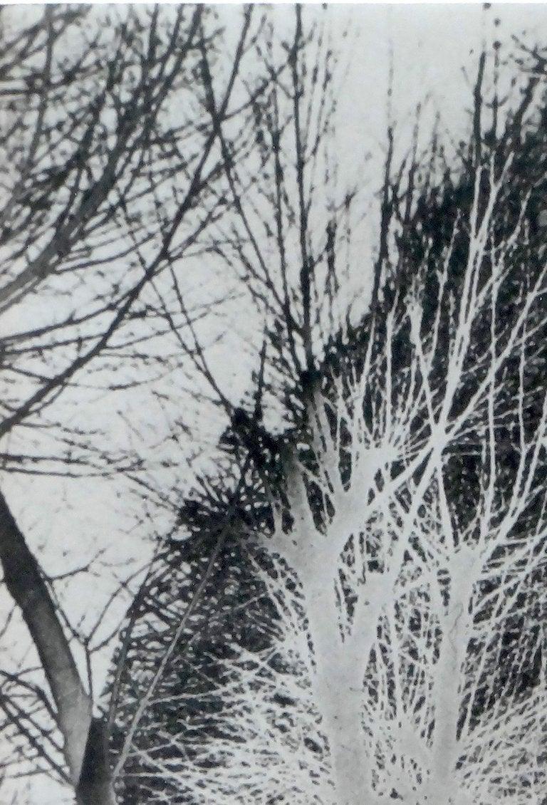 Untitled 'Solarized Double Exposure', Framed Solarized Vintage Print ...