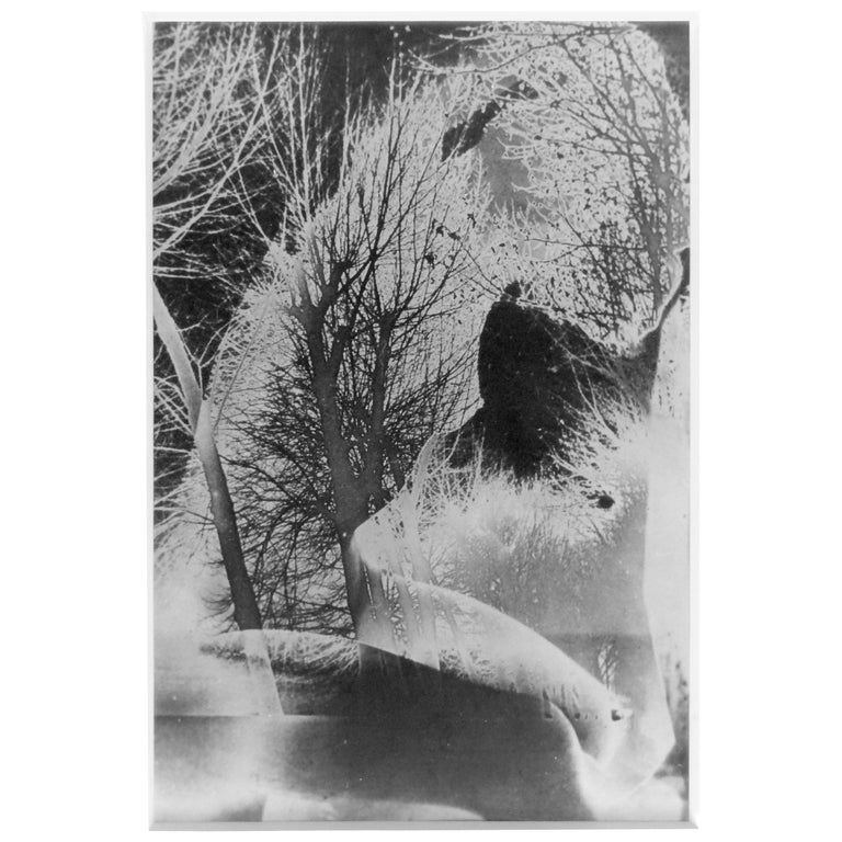 Untitled 'Solarized Double Exposure', Framed Solarized Vintage Print ...