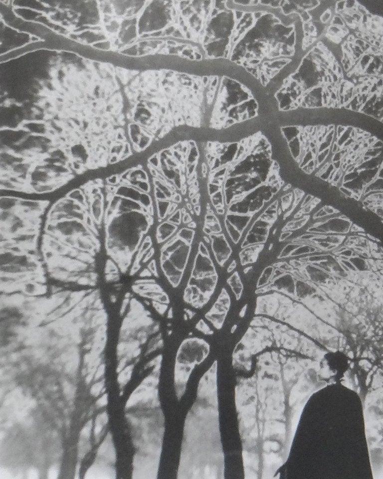 Untitled 'Solarized Landscape', Framed Vintage Print For Sale at 1stDibs