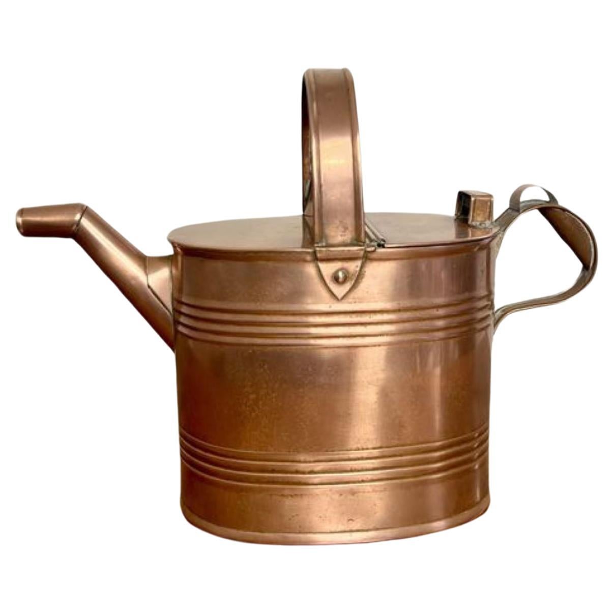 Unusual antique Edwardian copper watering can For Sale at 1stDibs