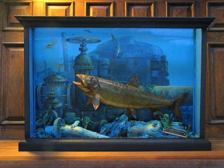 Unusual Fish Taxidermy Diorama Set in Decaying Underwater Industrial ...