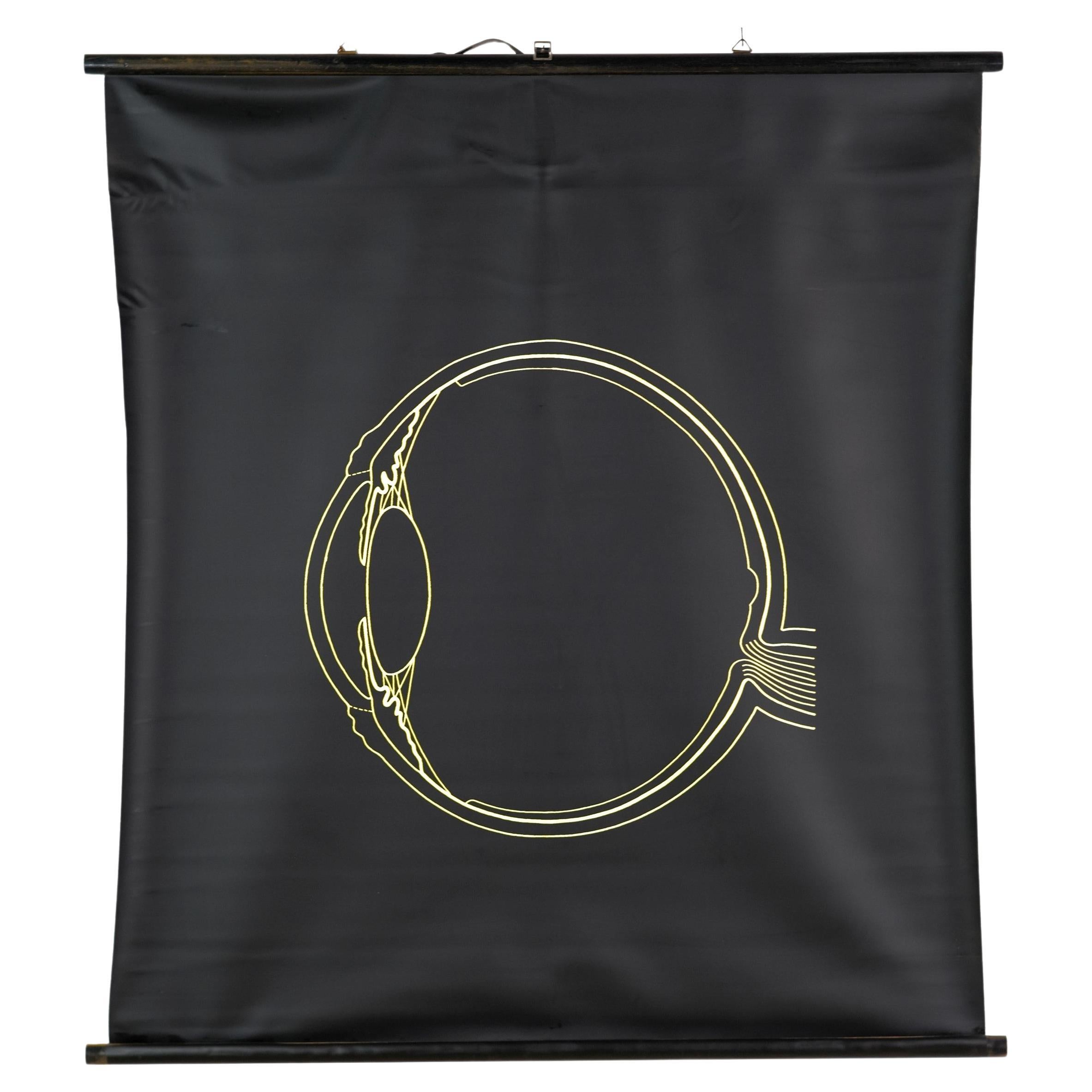 Unusual German Black and Yellow Eyeball Poster Vinyl Illustration For ...