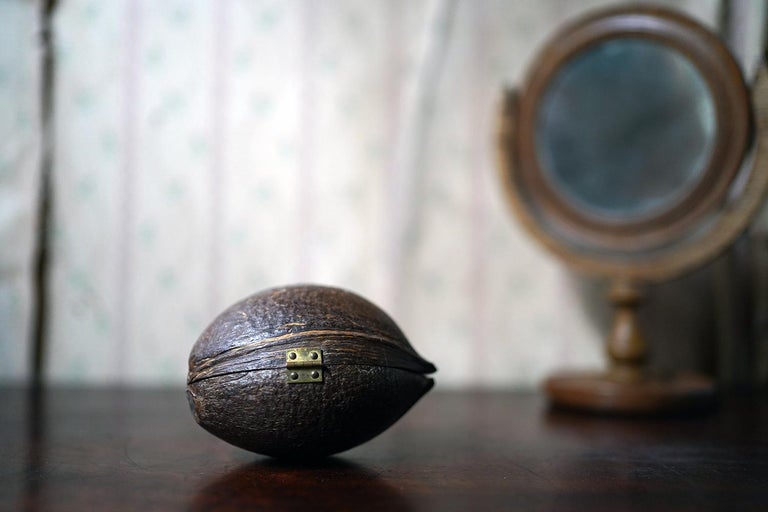 Unusual Late 19thC Coconut Box at 1stDibs