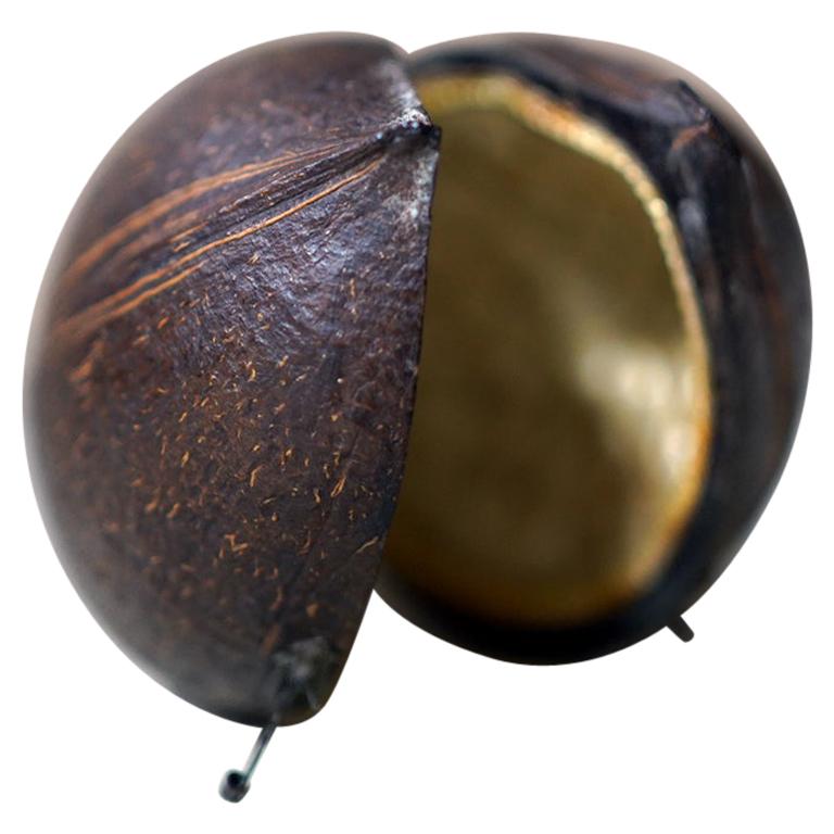 Unusual Late 19thC Coconut Box at 1stDibs