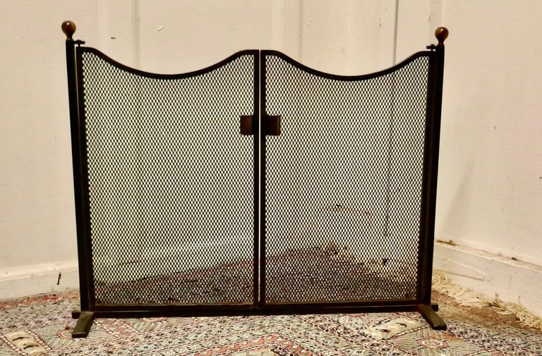 Unusual Opening Iron Fire Guard at 1stDibs