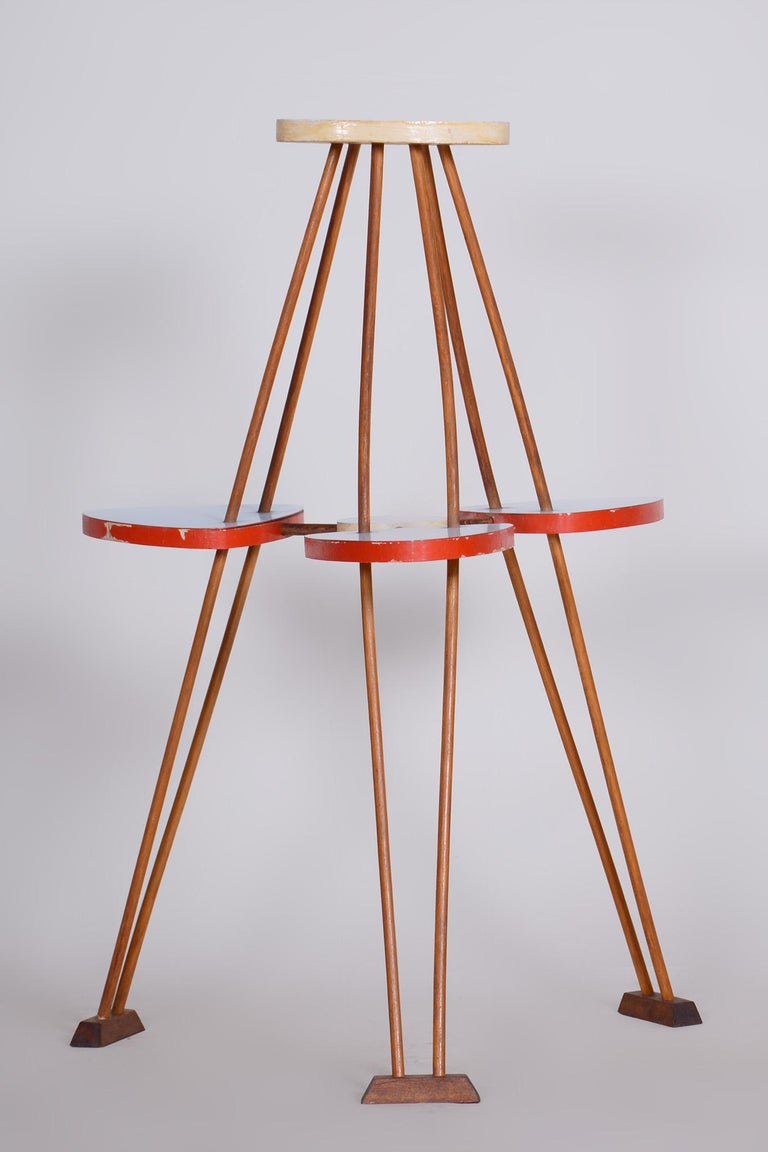 Unusual Restored Mid-Century Flower Stand, Beech and Umakart, Czechia ...